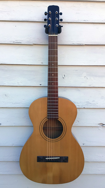 VintageParlorGuitars.Com | Vintage Parlor Guitars
